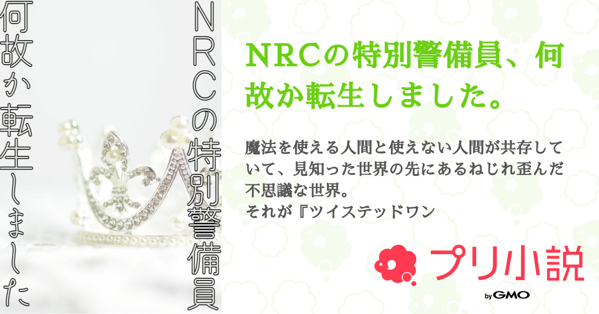 NRCの特別警備員、何故か転生しました。 - 全1話 【連載中】（>.